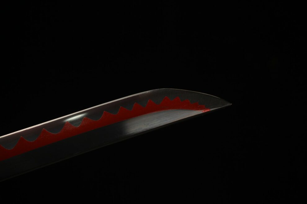 Shusui Katana Sword (Carbon Steel 1060) | Katana Heaven